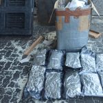 Confiscan 30 Paquetes De Presunta Marihuana Camuflada Y Arrestan A Dos