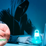 Denuncian supuesta estafa millonaria por parte de Sporous Capital