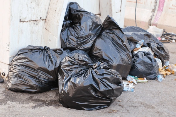 Diario Eco | Acumulación de basura provoca malos olores en Alma Rosa ...